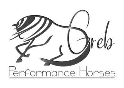 Nicole Greb - Performance Horses - Therapets - Fachkräfteplattform für ...